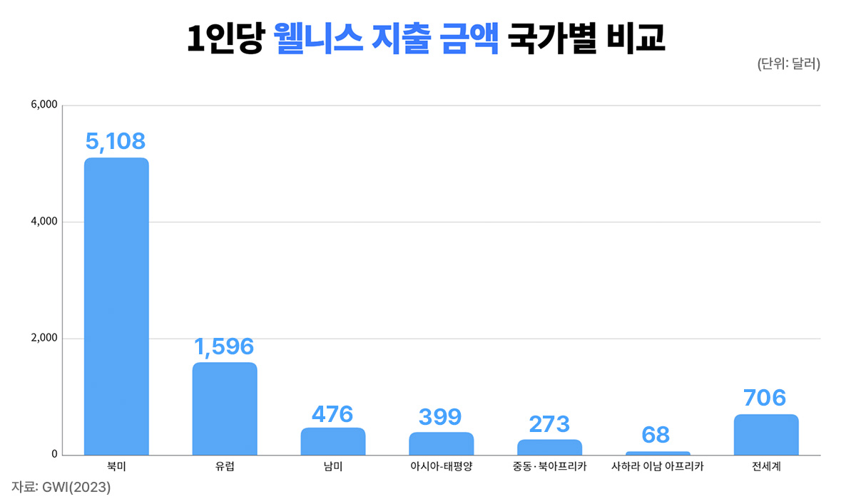이제 건강 챙겨야죠~ 한국 웰니스 산업 수출 동향과 기업 점유율 확대 전략 트레드링스 블로그